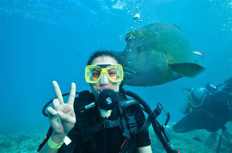 5 Best Underwater Adventures In The World • The Art Of Travel Wander