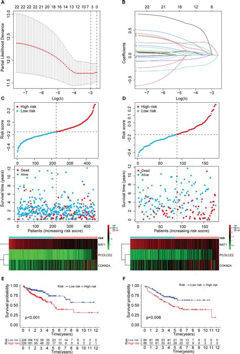 Construction Of The Prognostic Args And Ergs Paeg Risk Model A