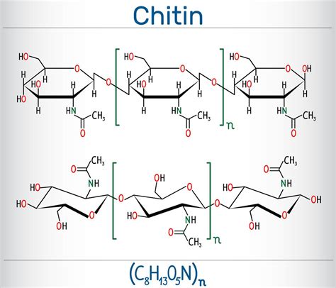 what is chitin definition and uses