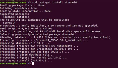 boxpn stunnel openvpn installation guide for ubuntu 16 04 boxpn