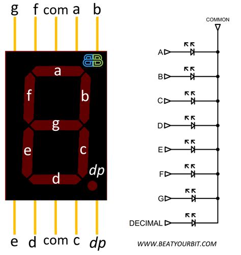7 Segment Display Pinout Diagram My Xxx Hot Girl