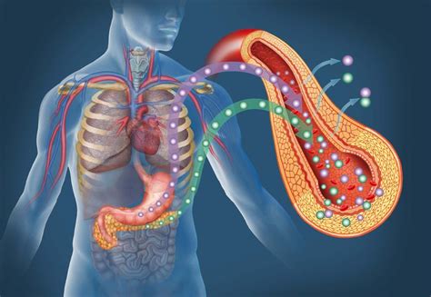 Diabetes Causas Y Remedios Complicaciones Crónicas Más Habituales De