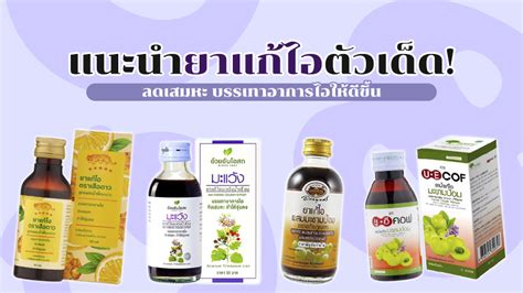 แนะนำ 8 ยาแก้ไอ 2024 ลดเสมหะ บรรเทาอาการไอให้ดีขึ้น