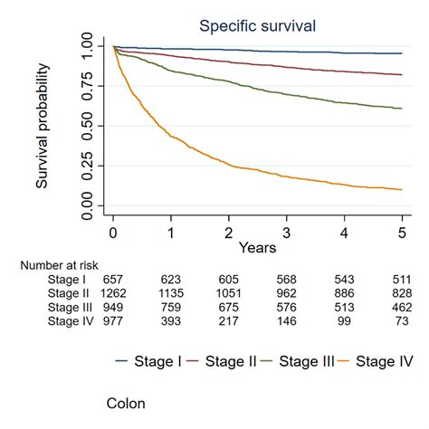 Specific Survival Rates For Colon Cancer According To Stages