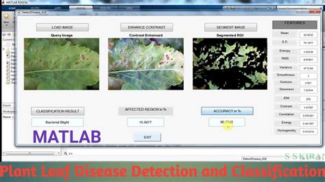 plant leaf disease detection and classification youtube
