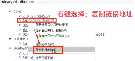 linux安装tomcat linux wget 安装tomcat csdn博客