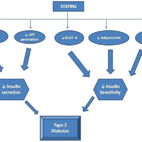 Pdf Statin Induced Diabetes And Its Clinical Implications