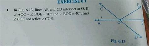 In Figure Lines Ab And Cd Intersect At O If Aoc Boe 70 O And Bod