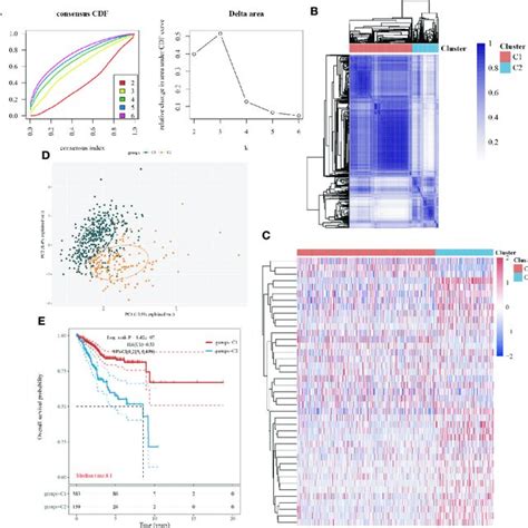 Classification Of Ec Subtypes Based On Neural Related Genes Nrgs A