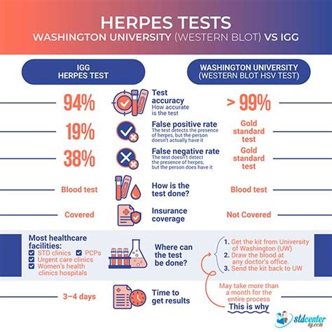 All You Need To Know About Herpes Testing