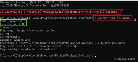 记录selenium和chrome使用socks代理打开网页以及查看selenium的版本 selenium 如何给谷歌浏览器配置sock