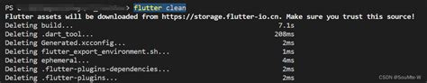flutter运行报错程序起不来解决办法 flutter assets will be downloaded from csdn博客