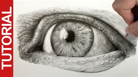 How To Draw A Realistic Eye Graphite Pencil Tutorial Youtube