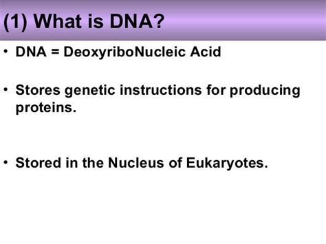 Dna Structure And Function By Tiffanynewell2s