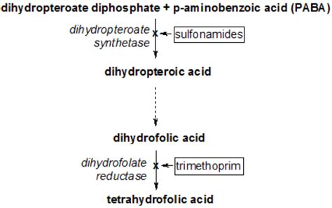 Difference Between Bactericidal And Bacteriostatic Definition Types