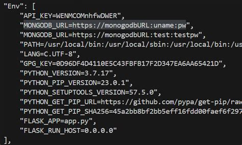 how to set docker environment variables [with examples] cherry servers