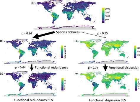 Global Trade‐offs Of Functional Redundancy And Functional Dispersion