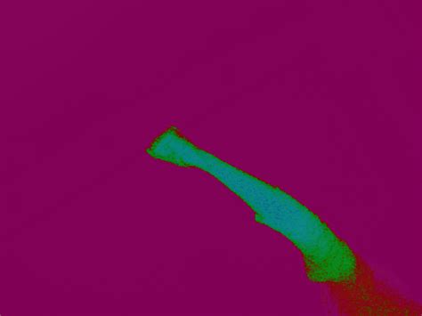 python image data is not accessible for write open3d library