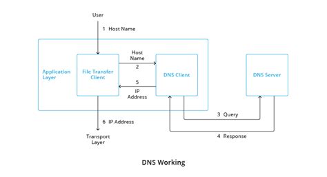 dhcp vs dns what s their differences and how they works fs community