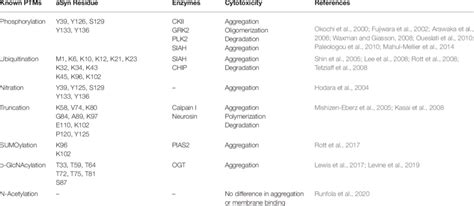 Known Post Translational Modifications In αsyn Sites Enzymes And