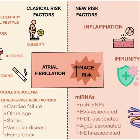 Risk Factors Determining The Risk Of Major Adverse Cardiovascular