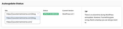 siteground autoupdate tool tutorial siteground tutorials