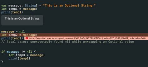 swift essentials optionals