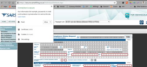 how to enable adobe flash in chrome browser vander host
