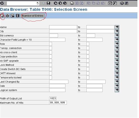 sap basis and itil tutorials how to view the contents of any table in sap