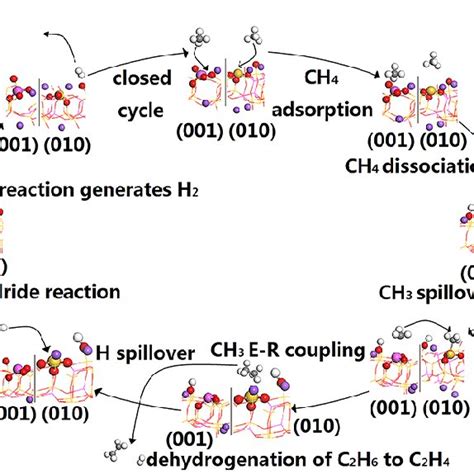 Schematic Diagram Of The Path For Activation And Conversion Of Ch4 By