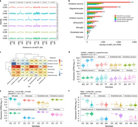 Cell Type Specific Genetic Effects On Gene Expression A Enrichment Of