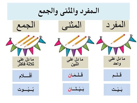 مراجعة ‏المفرد ‏والمثنى ‏والجمع ‏لطلاب ‏الصف ‏الثالث