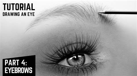 How To Draw Realistic Eyebrows For Beginners Step By Step Tutorial