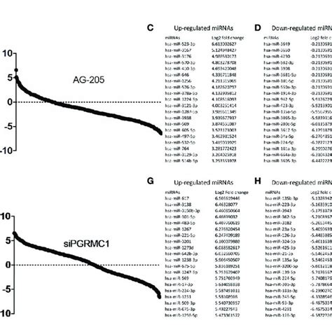 Human Mirnome Profiling Identified Differentially Regulated Mirnas