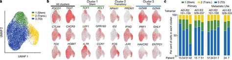 Hpv Specific Cd8 Tils Are Made Up Of Three Transcriptionally Distinct