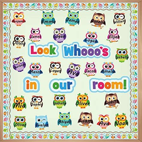 Colorful Owls Bulletin Board Decoration Set Mix Owl Cut Outs And Owls