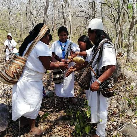 Unesco Reconoce Al Sistema De Conocimiento Ancestral De Los Cuatro