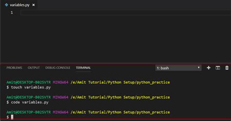 variables in python dot net techpoint