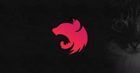 nestjs