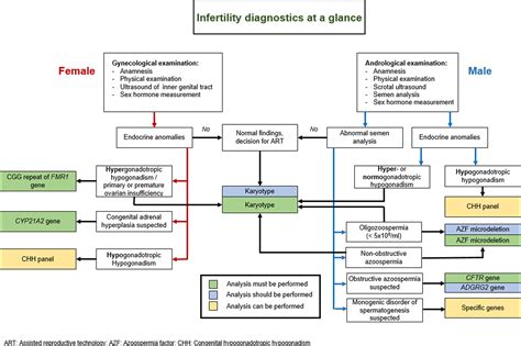 Genetic Counseling And Diagnostic Guidelines For Couples With