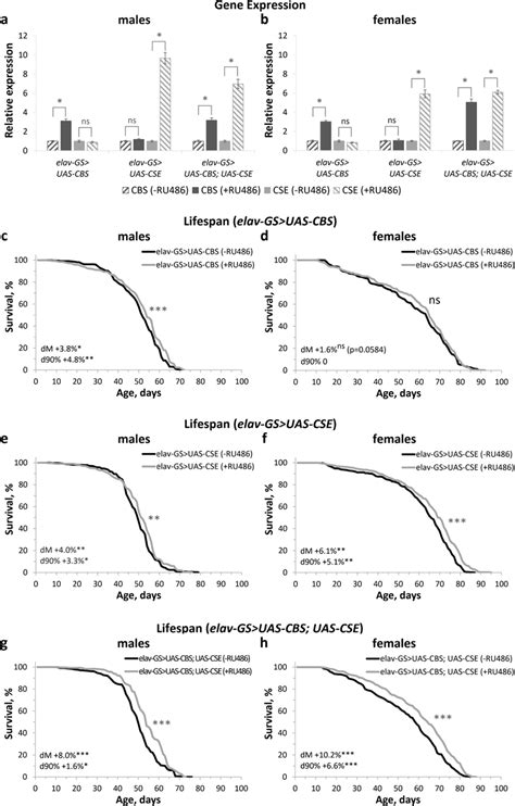 Estimation Of Cbs And Cse Genes Expression Levels A B Survival