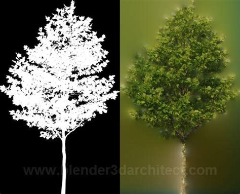 how to use alpha maps to render trees in luxrender and blender 3d
