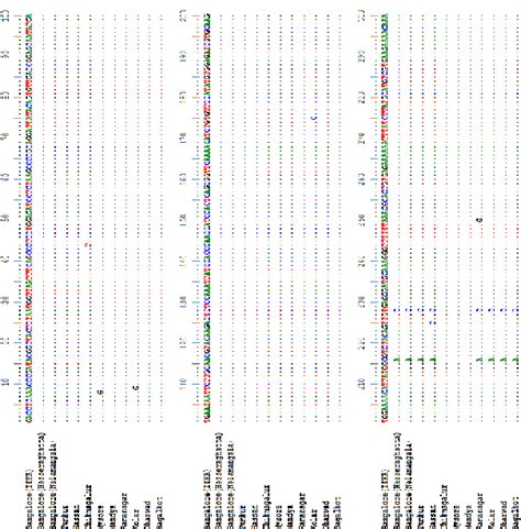 B Contd Comparisons Of Nucleotide Sequences For A Gossypii Genes
