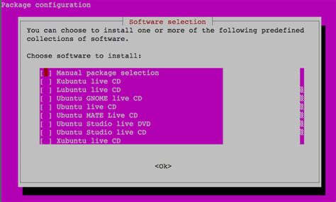 debian ubuntu tasksel install group software tasks such as dns