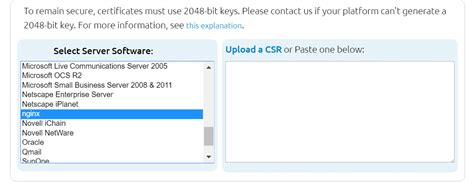 what is your ssl server type kinsta