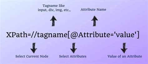 xpath in selenium webdriver tutorial how to find dynamic xpath