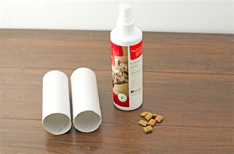 easy diy cat toys tutorial