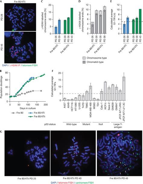 Five Dysfunctional Telomeres Predict Onset Of Senescence In Human Cells