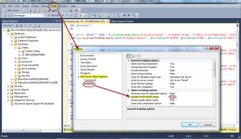 sql denali missing “if exist… default option is “false”… max