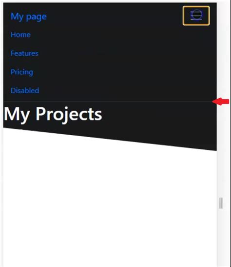 html remove white line from navbar toggler when expanding stack